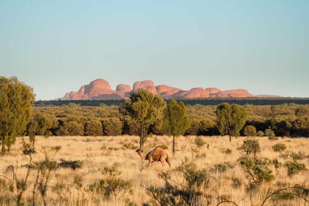 Travel Australia’s Outback At Any Age – Real Aussie Adventures